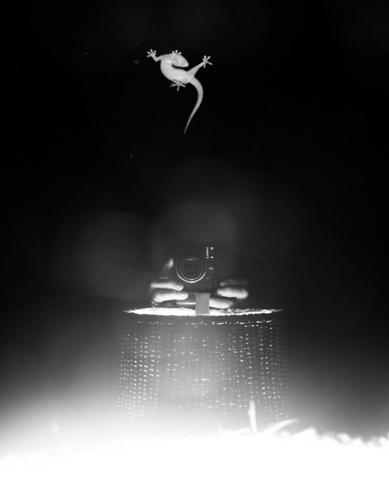 Five Questions with Sylvia Plachy – Zoetrope: All-Story